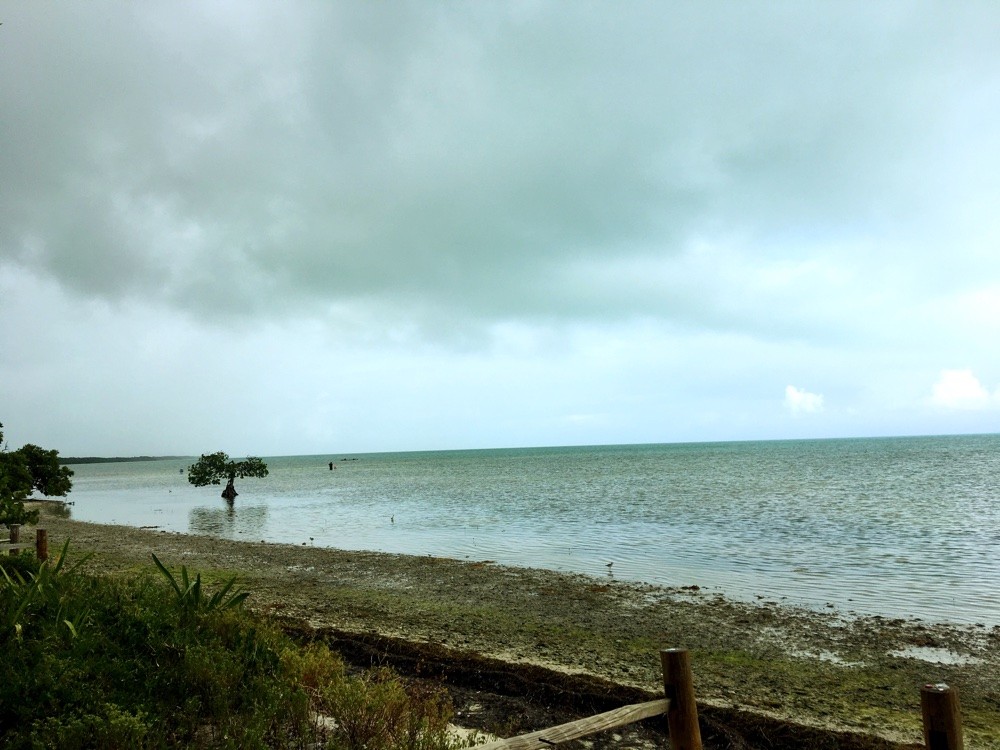 A Relaxing Stay at Long Key State Park | VeganRV