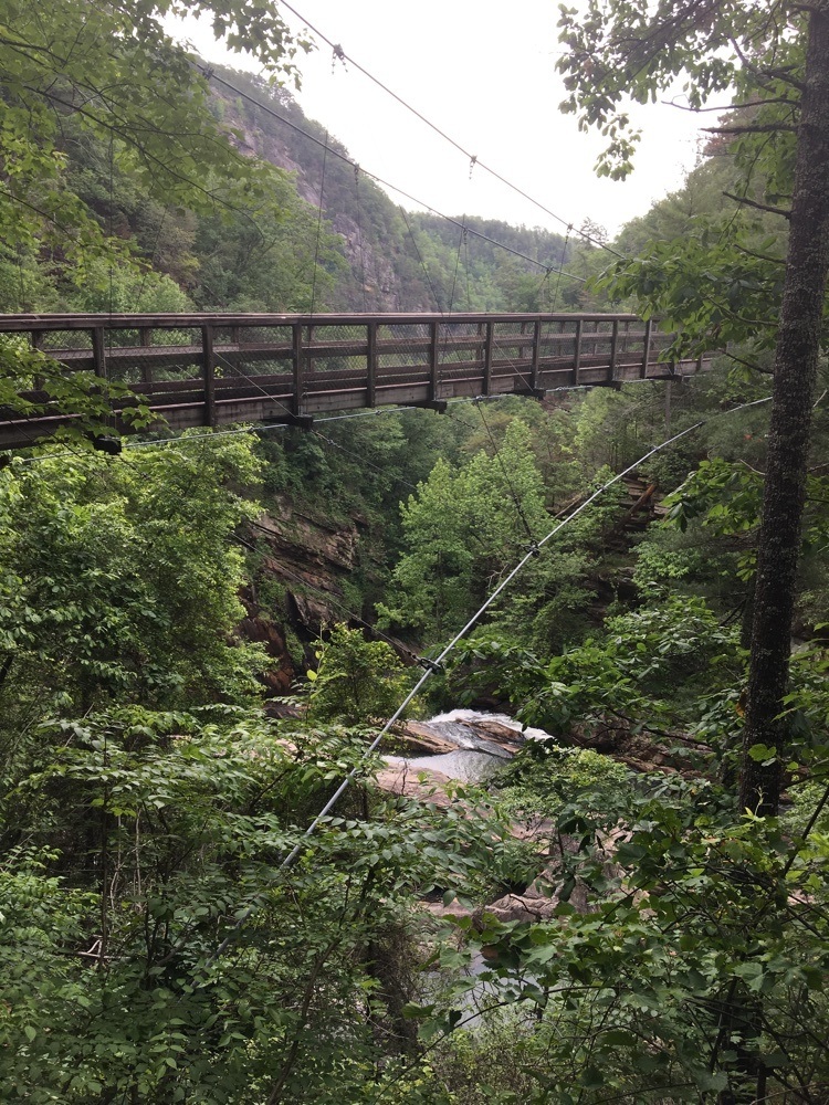 Beautiful Tallulah Gorge State Park | VeganRV