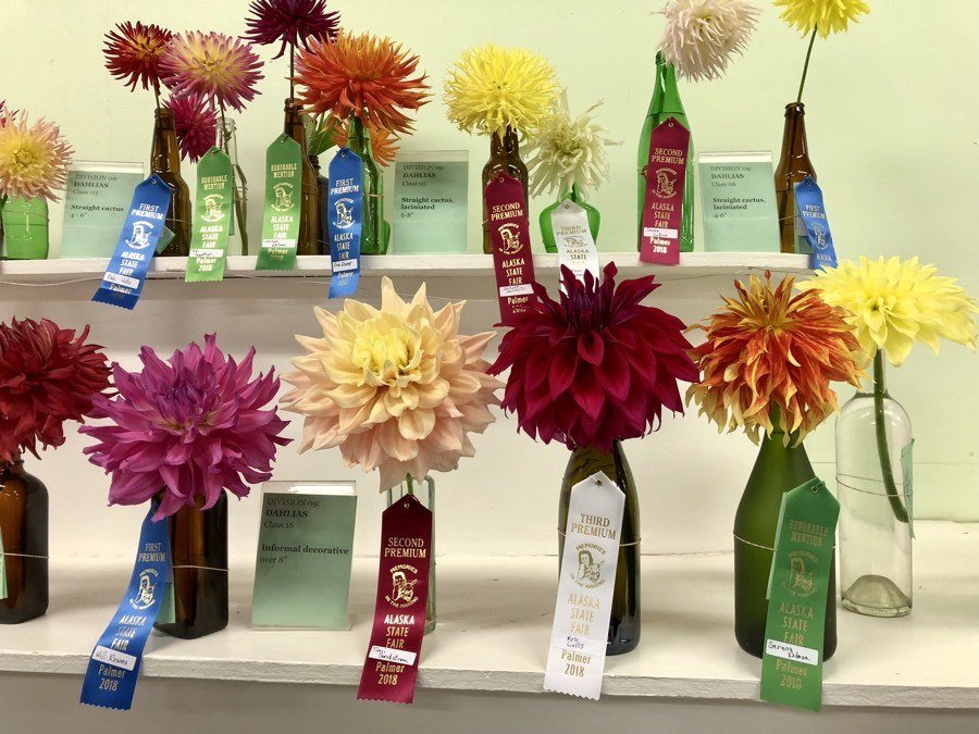 Gigantic vegetables at the Alaska State Fair | VeganRV