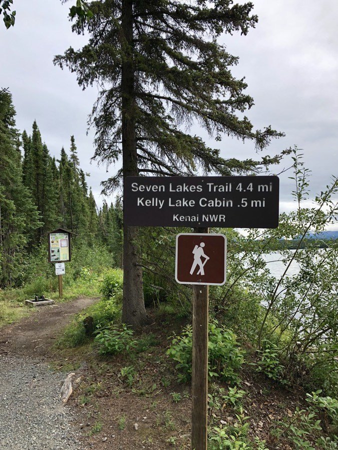 Exit Glacier & Free Camping at Kelly Lake | VeganRV